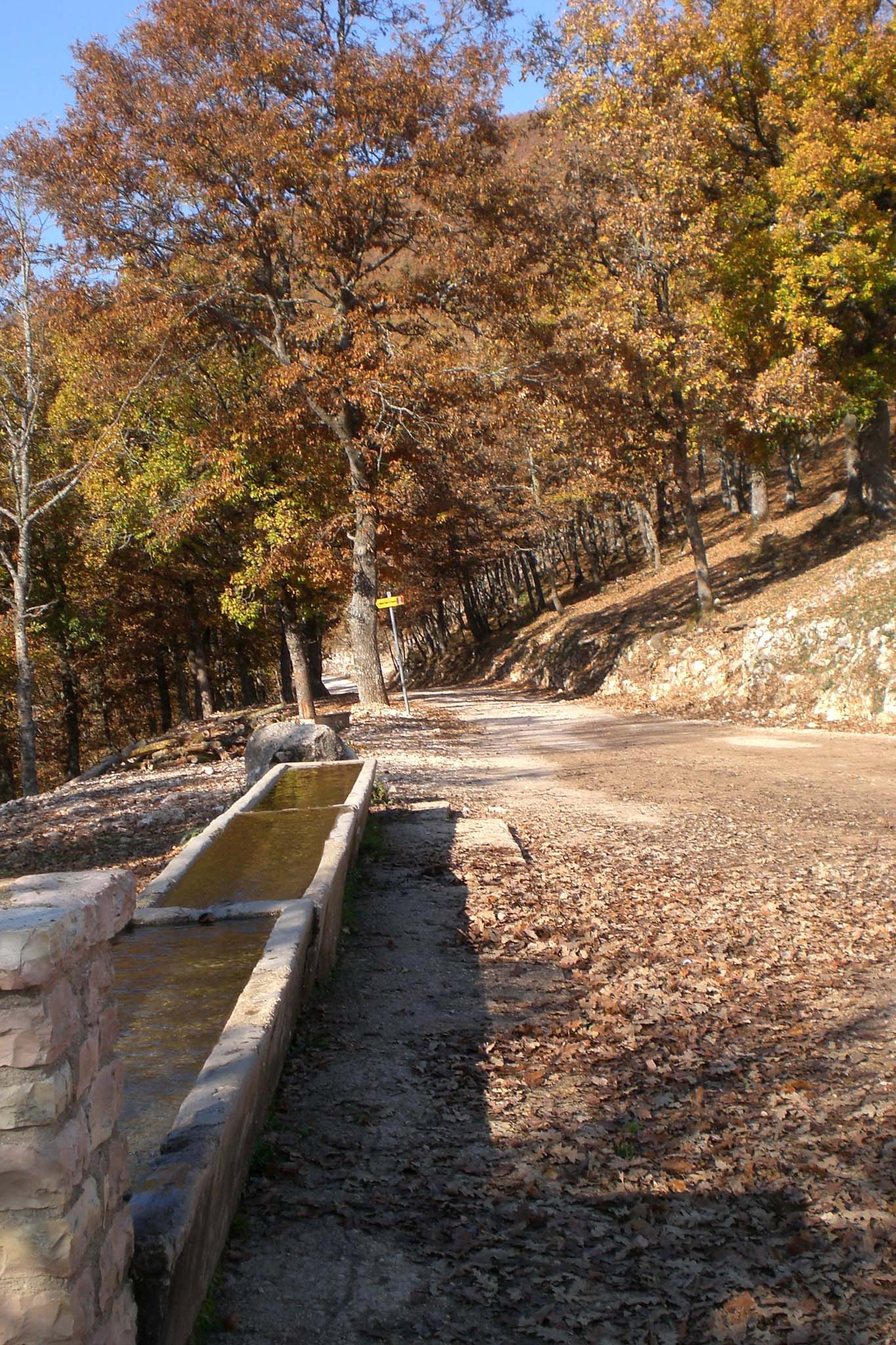 Posti letto Cammino di San Benedetto - Azienda Agrituristica Colle del ...