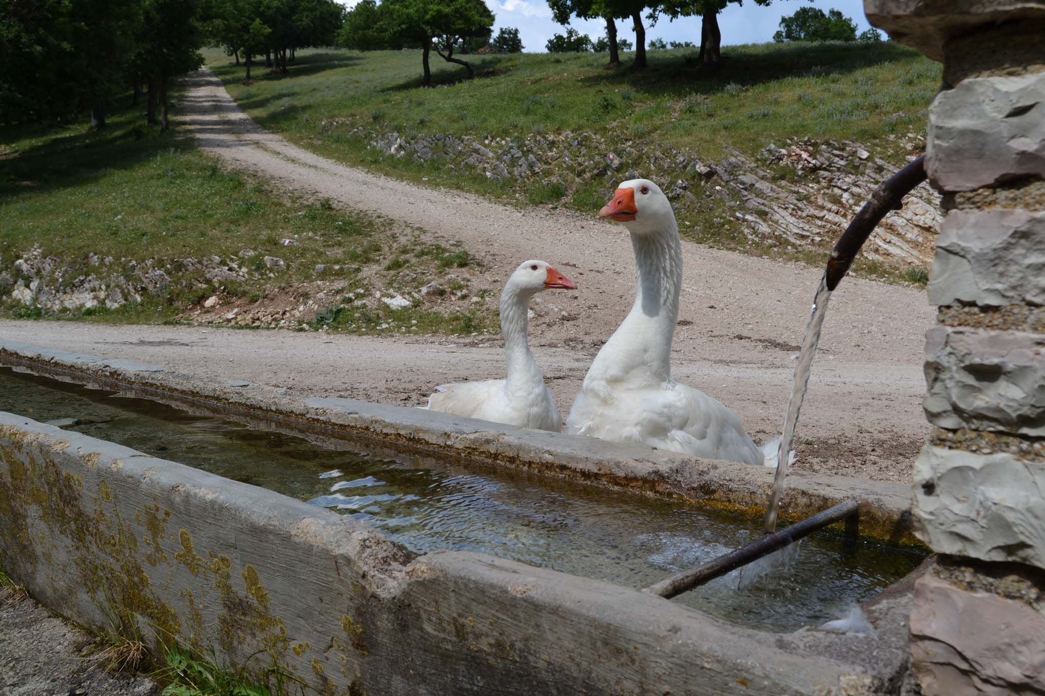 Fiera di San Felice a Monteleone di Spoleto - Azienda Agrituristica ...
