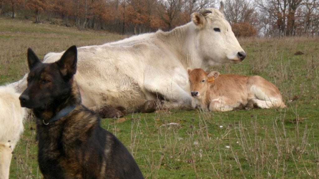 Cosa visitare a Monteleone di Spoleto - Azienda Agrituristica Colle del ...