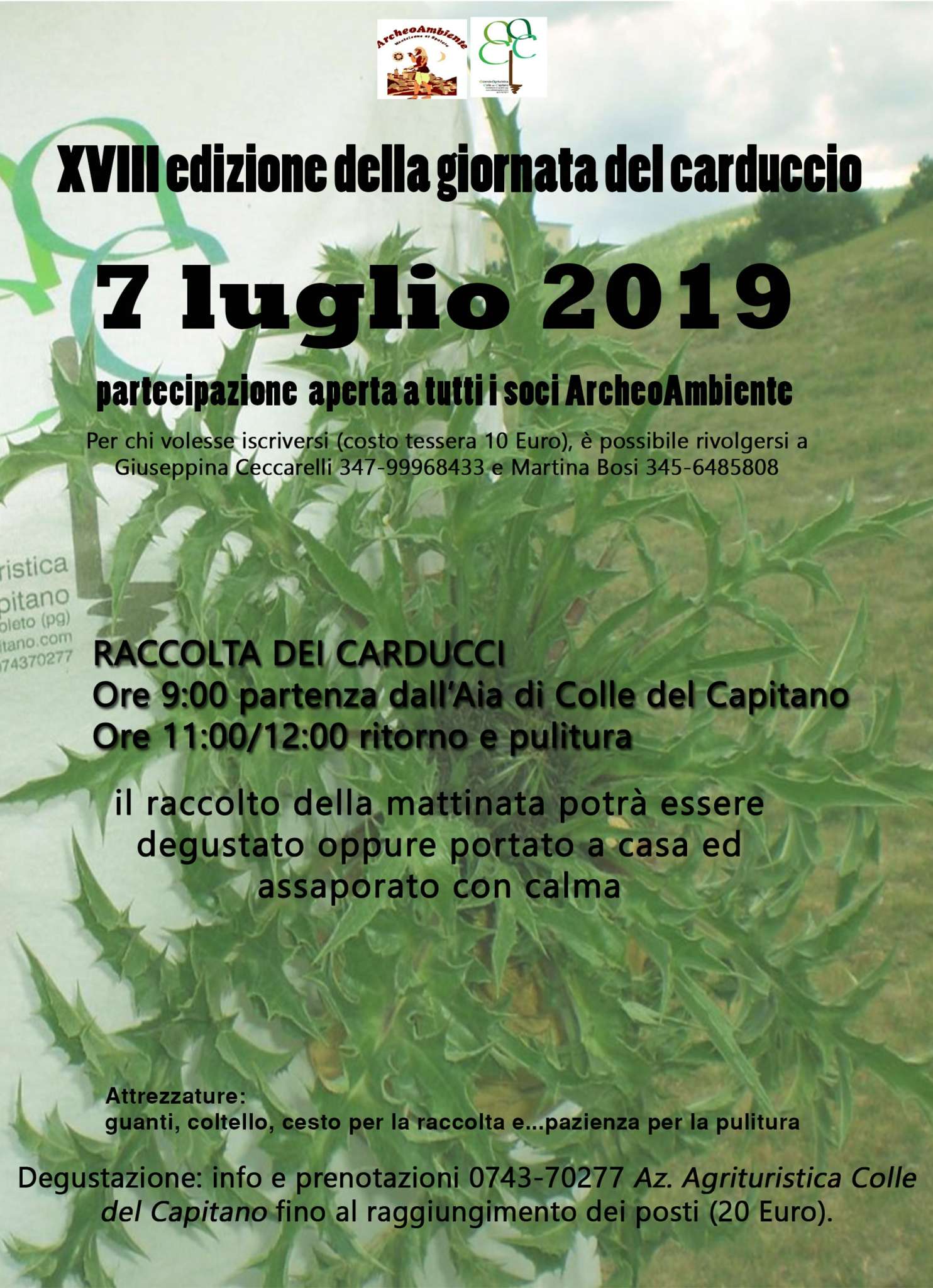 Giornata del carduccio - Azienda Agrituristica Colle del Capitano